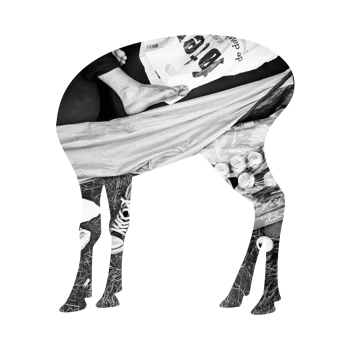 ‘your reality is already half video hallucination. if you’re not ...